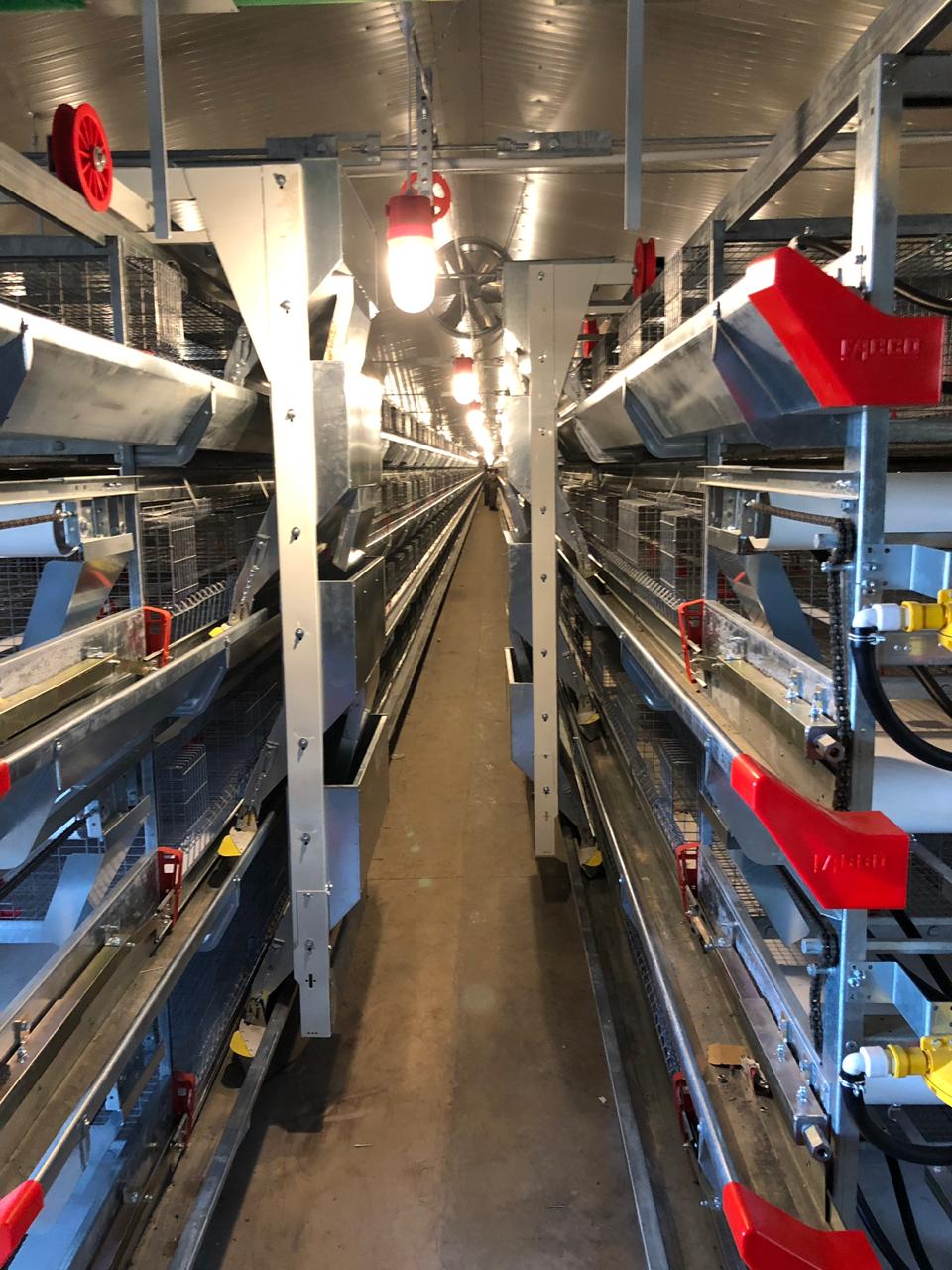 FACCO | Poultry Equipment - TROLLEY FACCO SYSTEM