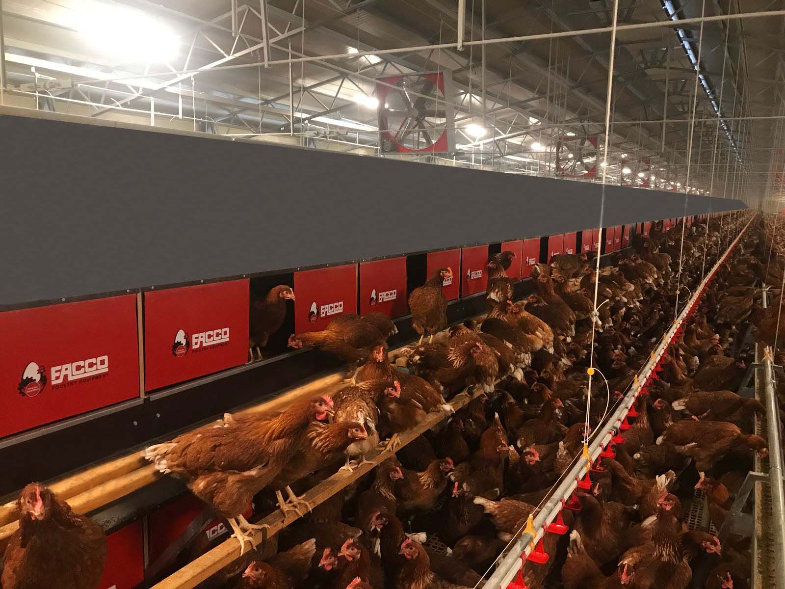 FACCO | Poultry Equipment - FAMILY NESTS